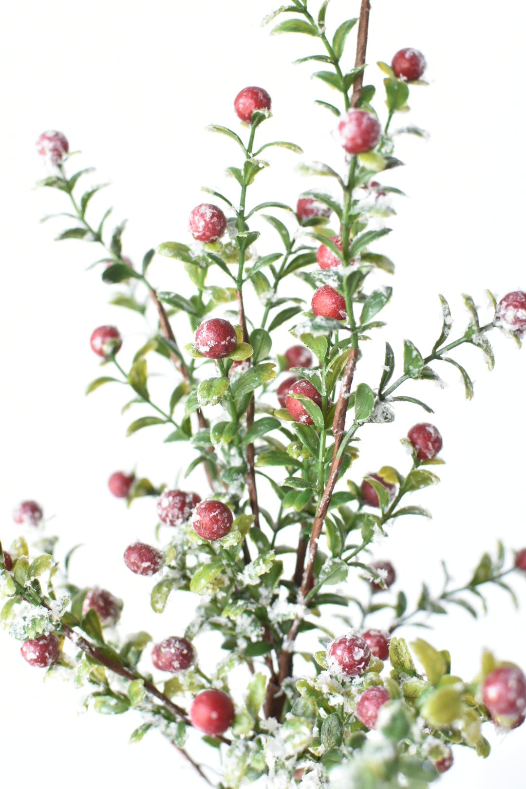 21" Faux Frosted Greenery with Red Berry Stem – Fenwick & Oliver